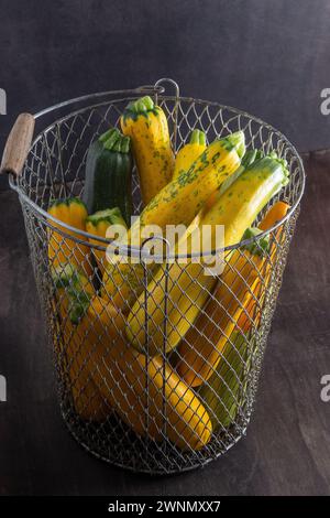 Yellow green leopard spotted zucchini. Vegetables on the table ...