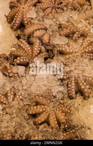 Octopus at the fish market in Bari Stock Photo - Alamy