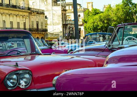 A row of brightly colored Vintage Cuban cars along the side streets in ...
