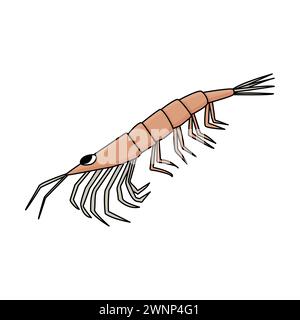 Antarctic krill. Hand drawn outline sketch cartoon animal of Antarctica ...