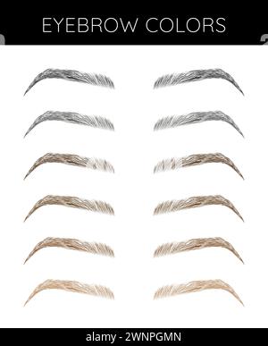Eyebrows Colors Chart Illustration Stock Vector Image & Art - Alamy