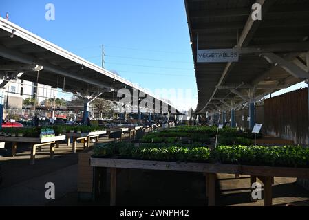 The former Amtrack Seaboard Train Station and track platforms in ...