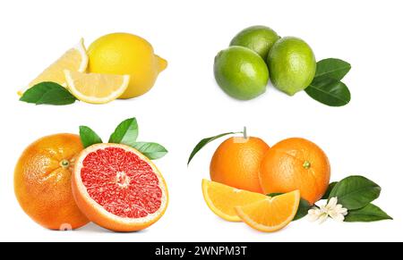 Different fresh citrus fruits isolated on white, set Stock Photo - Alamy