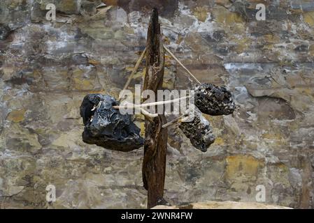 Balanced rocks on a tree trunk in 4 mile beach, California Stock Photo ...