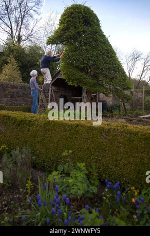 12/04/17 Marie Shawcross, 76, steadies the ladder as her husband, David ...
