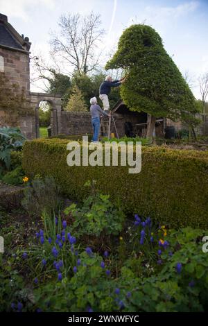 12/04/17 Marie Shawcross, 76, steadies the ladder as her husband, David ...