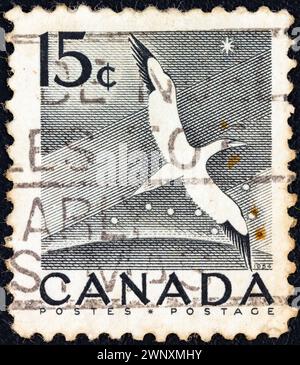 CANADA - CIRCA 1954: stamp printed by Canada, shows Sir Mackenzie ...