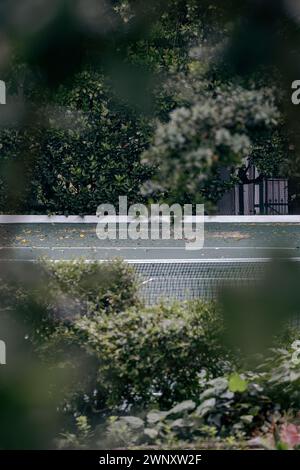 pry peek view through the foliage of the green tennis court, hotel area ...