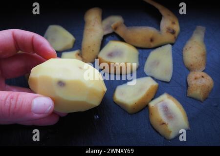 Fungal, viral or bacterial infection of the potato tuber. Dark spots ...