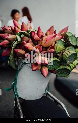Lotus flower in Suzhou old town Stock Photo - Alamy