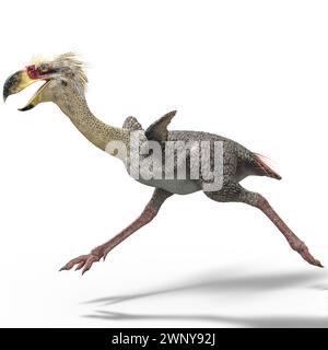 Phorusrhacos is an extinct genus of giant flightless terror birds that ...