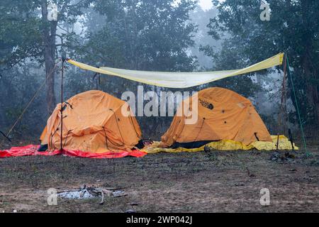 Friends camping in their ground tents for few days in Madhya Pradesh ...