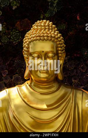 Sa Pa Buddha, Phan xi Pang Stock Photo - Alamy