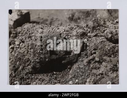 This photograph from 1931 by J. Bułhak shows Druja, Mohiłki, capturing ...