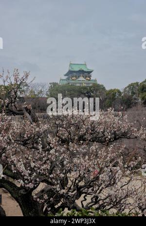 Osaka Castle's Plum Grove in bloom, Osaka, Japan Stock Photo - Alamy