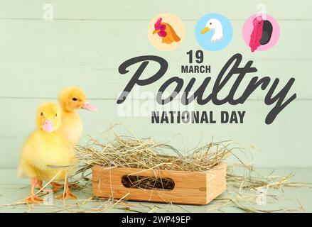 Banner for National Poultry Day with cute chick Stock Photo - Alamy