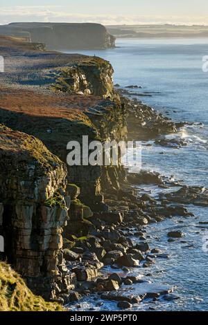 Cliffs on Dunnet Bay Caithness Scotland March 2014 Stock Photo - Alamy
