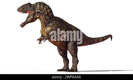 Gigantosaurus is a dubious genus of sauropod dinosaur from the Late Jurassic Kimmeridge Clay ...