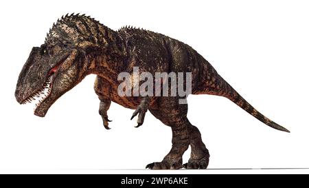 Gigantosaurus is a dubious genus of sauropod dinosaur from the Late ...