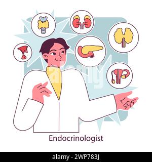 Endocrinology. Endocrine system organs, pancreas thyroid gland ...