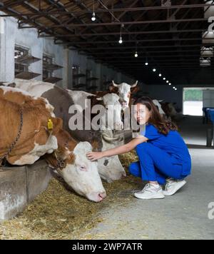 Young veterinary woman examining cows. Attendant tending the cattle in ...