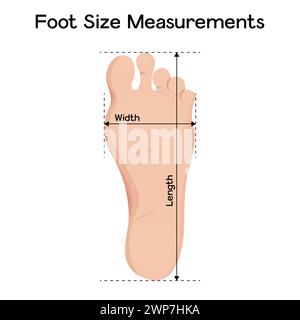 vector body measurements size chart, female clothing model, sewing ...