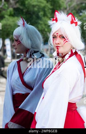 A cosplay girl in a cat priestess outfit at an event Stock Photo - Alamy