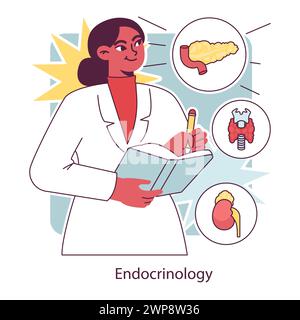 Endocrinology. Endocrine system organs, pancreas thyroid gland ...
