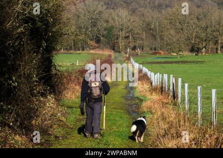 Walking or trailing with a dog on a countryside path | Marcher avec son ...