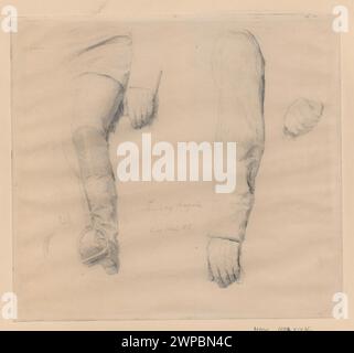 Anatomy of the bones in the hand, legs and feet, Sybolt Berghuis, 1869 ...