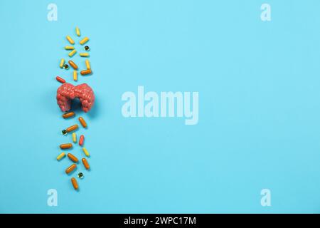 Endocrinology. Capsules and model of thyroid gland on light blue ...