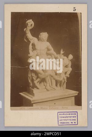 Detail of Sculpture of Laocoön and His Sons, Vatican Museum, Vatican ...
