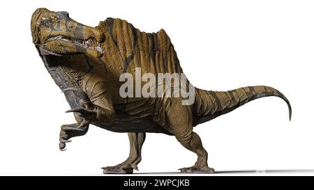 Spinosaurus is a genus of spinosaurid dinosaur that lived in what now ...