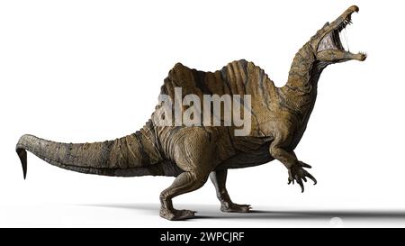 Spinosaurus is a genus of spinosaurid dinosaur that lived in what now ...