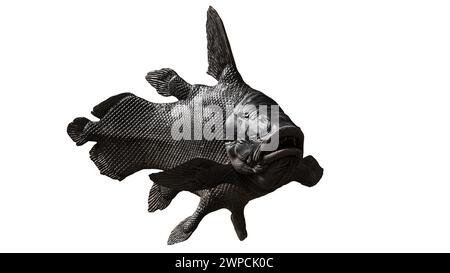 3D rendering of a Mawsonia, an extinct genus of prehistoric coelacanth ...