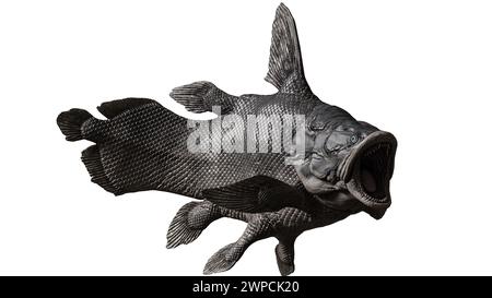 Mawsonia is an extinct genus of prehistoric coelacanth fish. It is ...