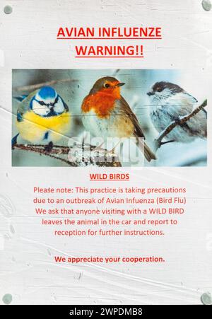 Poster notice about avian influenza bird flu warning, Suffolk, England ...