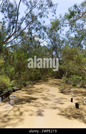 The Dawson River as it passes through Taroom Queensland Australia Stock ...