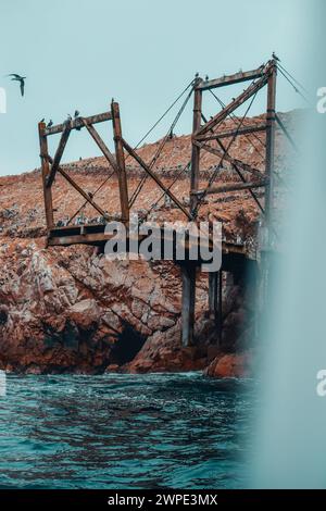 Puerto Pellejo, near Pisco Stock Photo - Alamy