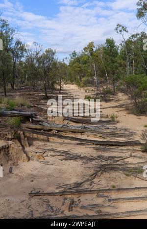 The original Corduroy short lengths of timber cut to form a base for ...