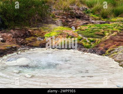 Puracé National Park, Cauca, Colombia Stock Photo - Alamy