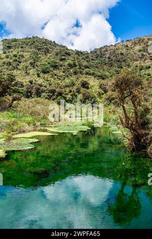 Puracé National Park, Cauca, Colombia Stock Photo - Alamy