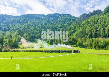 steam train on the Sporenegg Bridge of Bregenz Forest Railway ...
