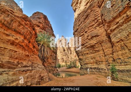 A Saharan oasis with a small lake in Algeria Stock Photo - Alamy
