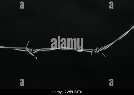Shiny metal barbed wire on black background Stock Photo - Alamy