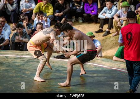 Traditional wrestling in a Vietnamese village Stock Photo - Alamy