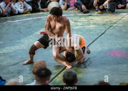 Traditional wrestling in a Vietnamese village Stock Photo - Alamy