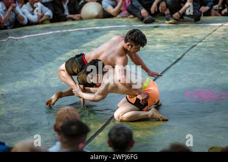 Traditional wrestling in a Vietnamese village Stock Photo - Alamy