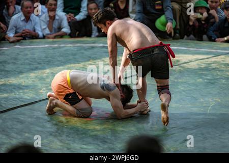 Traditional wrestling in a Vietnamese village Stock Photo - Alamy