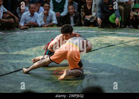 Traditional wrestling in a Vietnamese village Stock Photo - Alamy